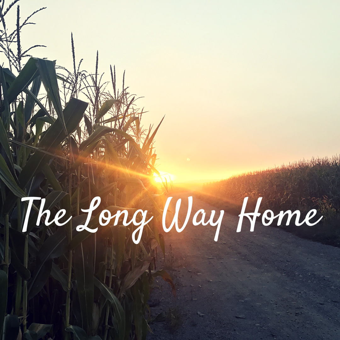 The Long Way Home. | The Deere Milkmaid